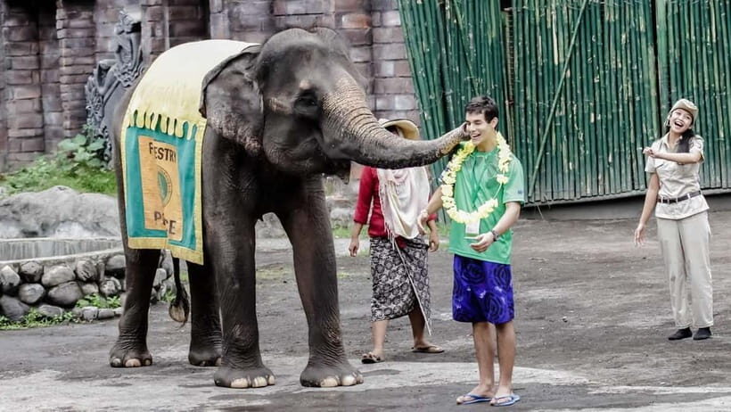 Bali: Taman Safari and Elephant Feeding with Hotel Transfer - FAQ