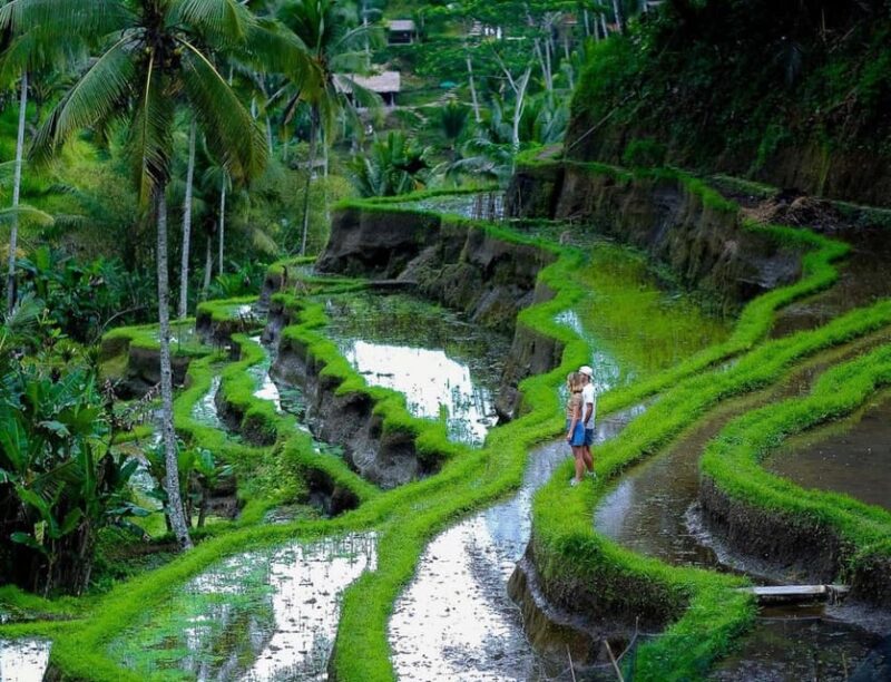 Bali: Tanah Lot, Jatiluwih Terrace, & Ulundanu Beratan Tour - Optional Add-Ons: Enhancing Your Experience