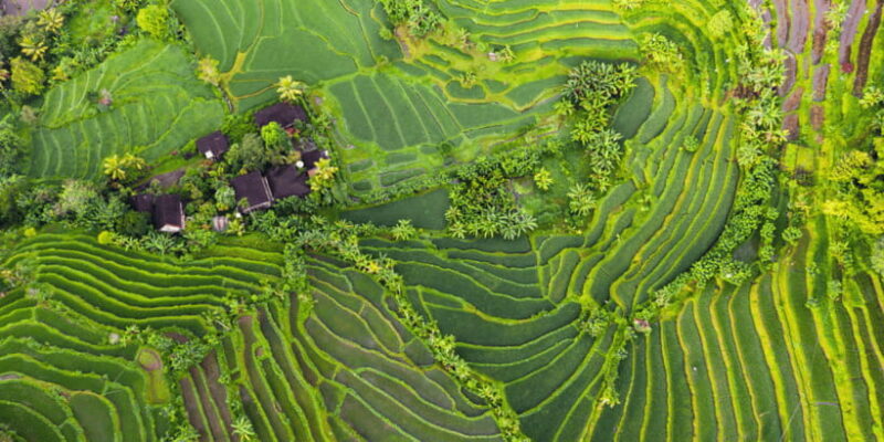 Bali: Tanah Lot, Jatiluwih Terrace, & Ulundanu Beratan Tour - Pricing and Value: Is It Worth It?