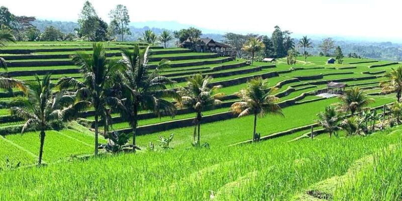 Bali: Tanah Lot, Jatiluwih Terrace, & Ulundanu Beratan Tour - Final Thoughts