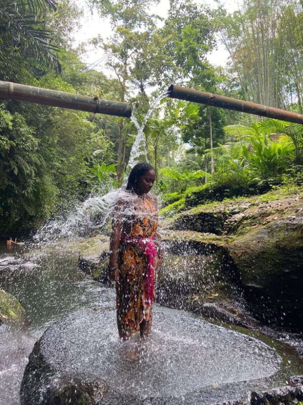 Bali: Taro Village and Holy Spring Water Temple Tour - Key Points