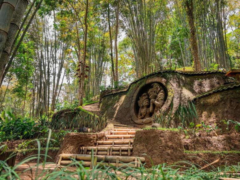 Bali: Taro Village and Holy Spring Water Temple Tour - Final Words