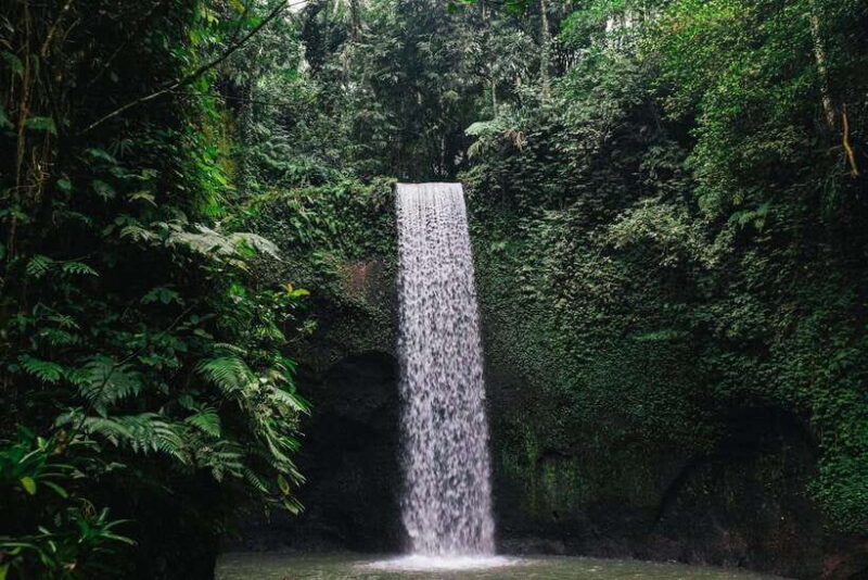 Bali: Tegenungan, Kanto Lampo, and Tibumana Waterfall Trip - Overall Value and Impressions