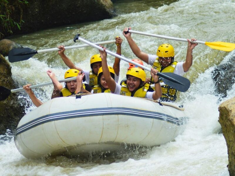 Bali: Telaga Waja River Rafting Small-Group Tour with Lunch - The Itinerary in Detail