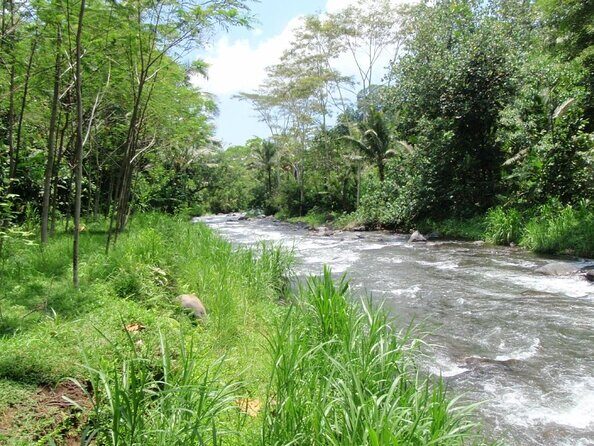 Bali : Telaga Waja River Rafting & Tukad cepung waterfall - The Itinerary Breakdown