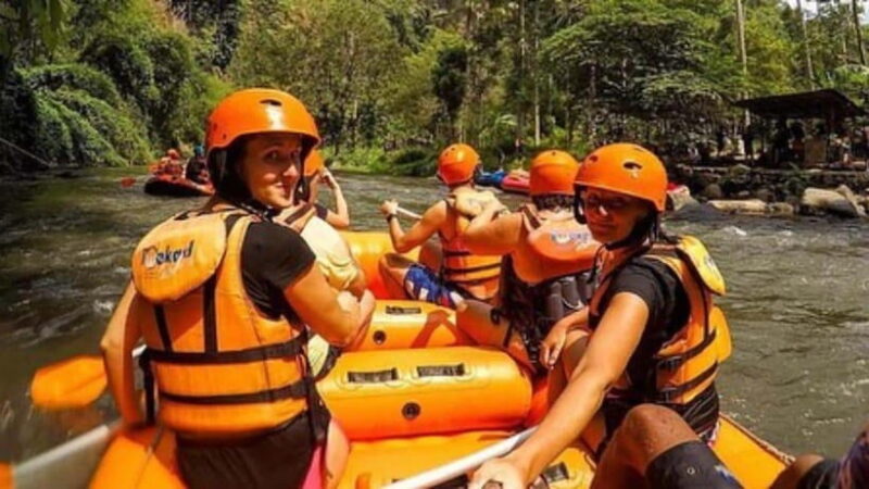 Bali: Telaga Waja River Rafting with Lunch and Pickup - Introduction to Bali’s Telaga Waja River Rafting