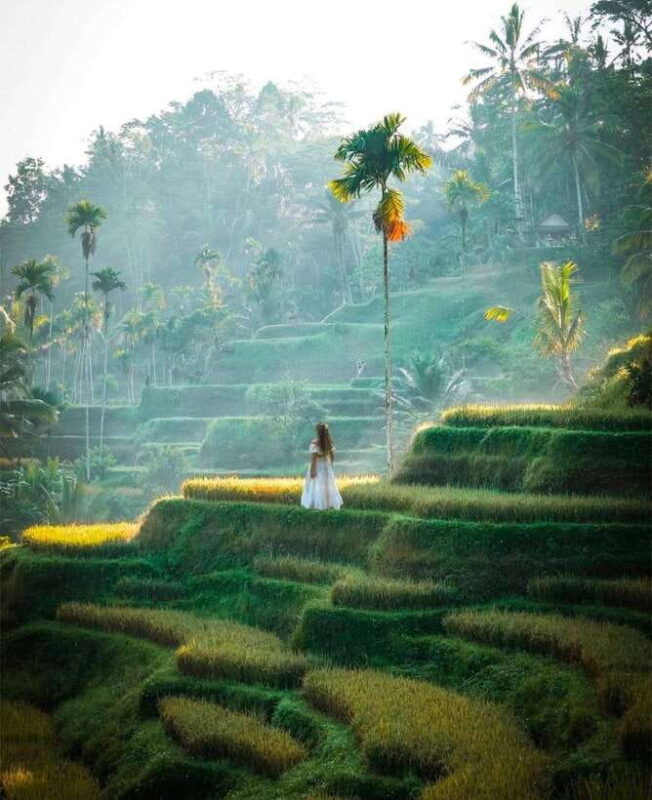 Bali: Temples, waterfall, and Rice Terrace Guided Tour - Who Will Love This Tour?