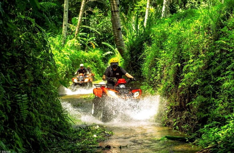 Bali: Thrilling Ultimate ATV Quad Bike Adventure - The Sum Up