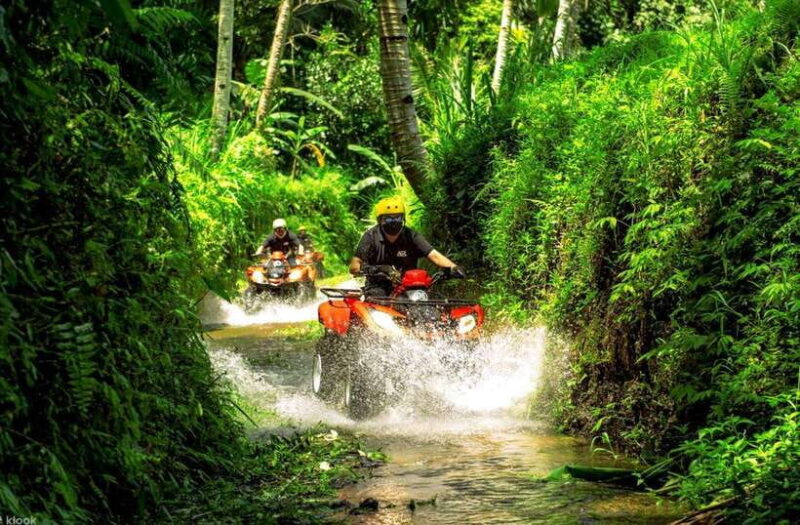 Bali: Thrilling Ultimate ATV Quad Bike Adventure - The Value and Practicalities