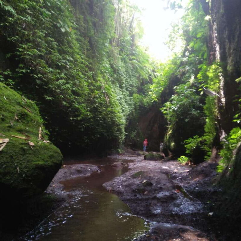 Bali: Tibumana, Tukad Cepung, Kanto Lampo, & Tegenungan Tour - Discovering Bali’s Hidden Waterfalls