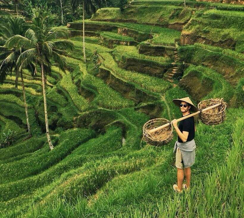 Bali: Tirta empul Temple, Rice terrace and Waterfall - Key Points