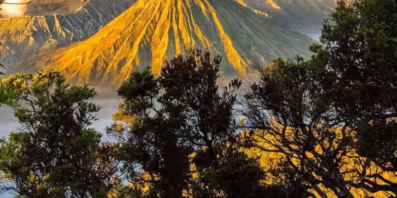 bali to java: bromo, ijen, tumpak sewu, borobudur, Prambanan - The Logistics: Transportation, Duration, and Value