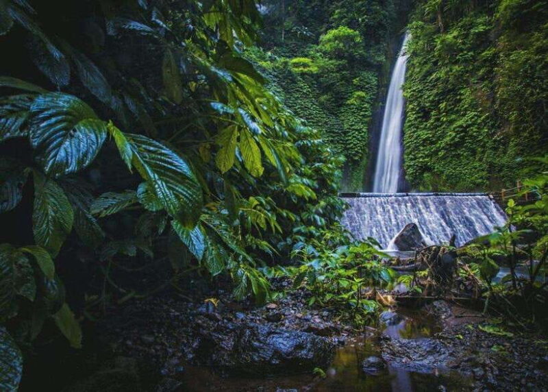 Bali: Top Highlights Private Full-Day Tour from Hotel - Key Points