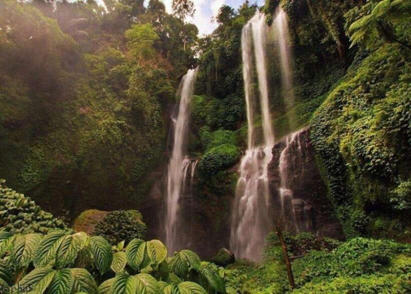 Bali: Top Highlights Private Full-Day Tour from Hotel - Why This Tour Offers Great Value