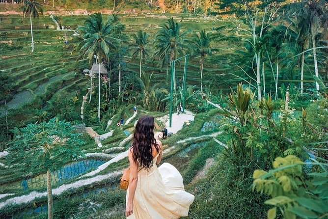 Bali Tour : Best Attractions in Ubud with Rice Terrace - Who Should Consider This Tour?