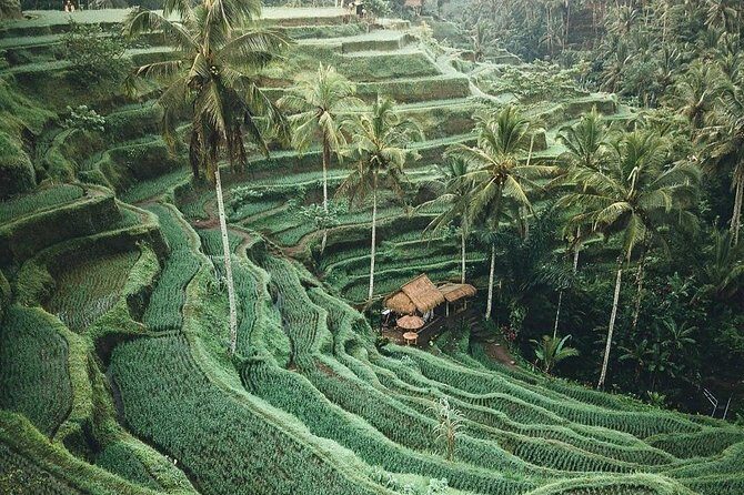 Bali Tour Customized With Local Guide - The Sum Up: Is It Worth It?