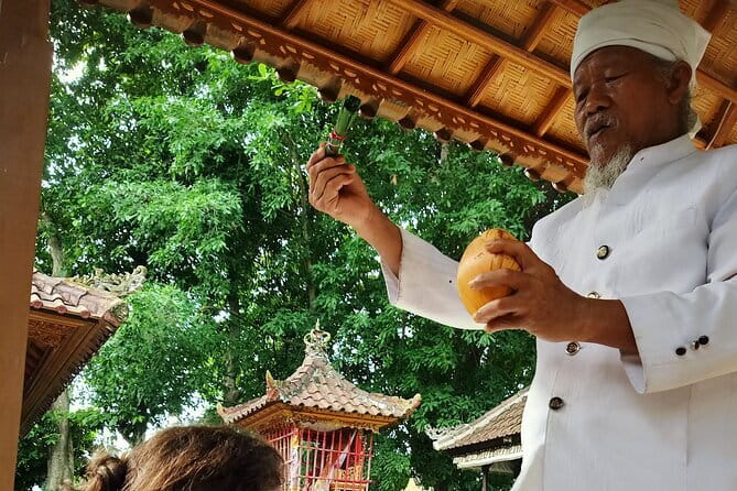 Bali Tour: Tanah Lot, UNESCO Rice Terrace and Water Temple - Who Should Book This Tour?