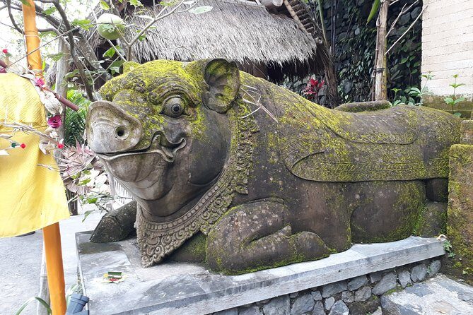 Bali Tours - Who Should Consider This Tour?