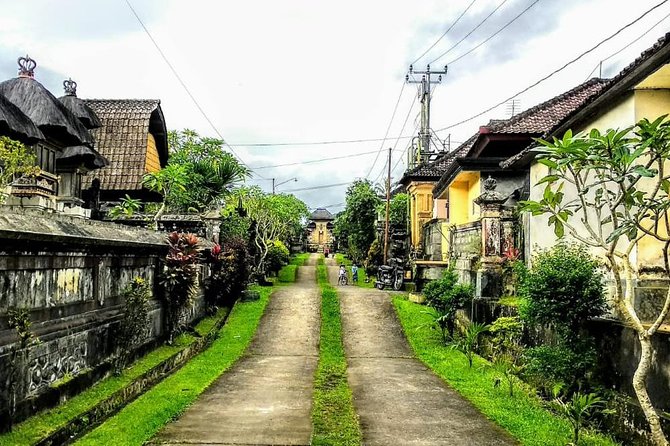 Bali Traditional Village Experience - What Makes the Water Temple Special?