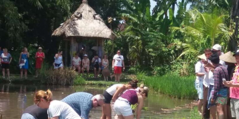 Bali: Traditional Village Life Tour - A Closer Look at the Itinerary