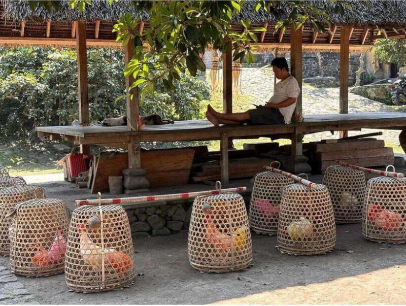 Bali: Traditional Villages, Salt Farm & Tirta Gangga Tour - What Makes This Tour Stand Out?