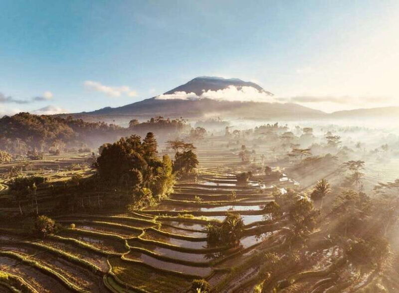Bali: Traditional Villages, Salt Farm & Tirta Gangga Tour - Who Will Love This Tour?