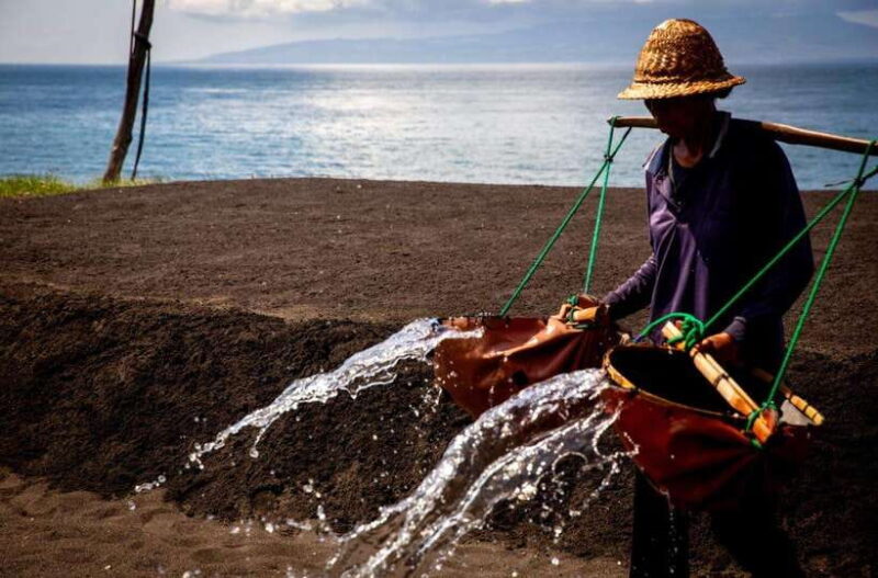 Bali: Traditional Villages, Salt Farm & Tirta Gangga Tour - Final Thoughts