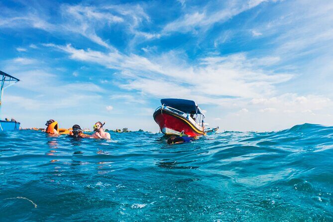 Bali Tropical Snorkeling and Mangrove Cruise - Key Points