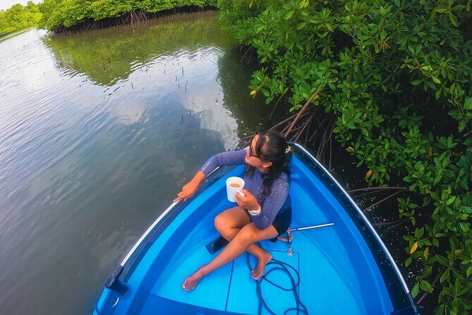 Bali Tropical Snorkeling and Mangrove Cruise - Who Will Love This Tour?