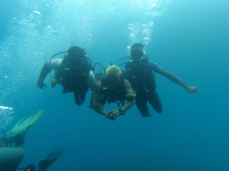 Bali: Try Scuba Diving day trip to Nusa Penida pool+2 dives - The Value of a Guided Experience