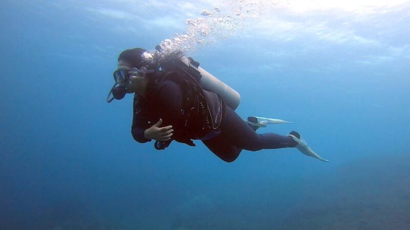 Bali: Try Scuba Diving day trip to Nusa Penida pool+2 dives - The Sum Up