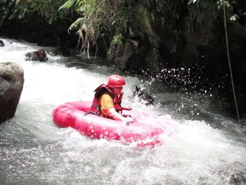 Bali Tubing Adventure: Refreshing Float Through Lush Jungles - The Experience: What Travelers Say