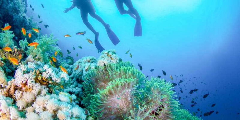 Bali: Tulamben Bay Beginner's Dive Experience - Experience Highlights: What Makes It Special