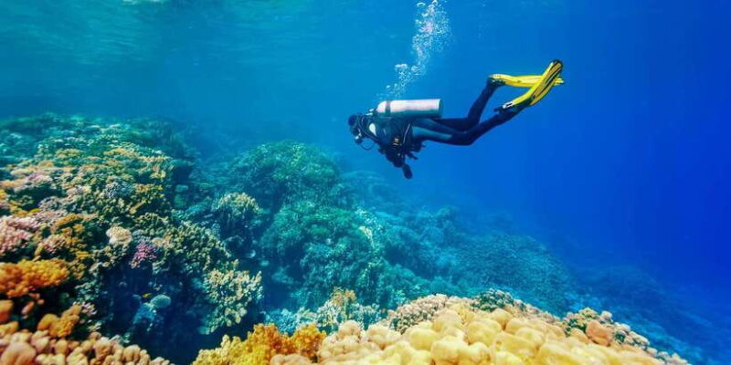 Bali: Tulamben Bay Beginner's Dive Experience - The Itinerary in Detail