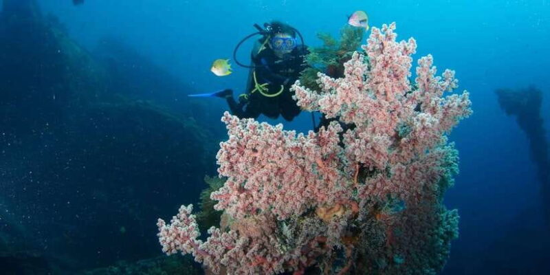 Bali: Tulamben USAT Liberty Wreck Scuba Diving - Key Points