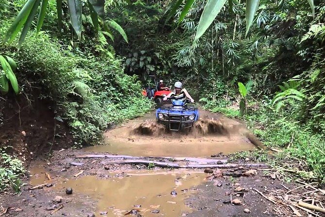 Bali Tunnel and Waterfall Quad Bike "KUBER ADVENTURE" - Authentic Experiences and Real Feedback