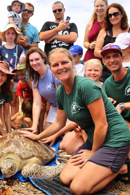 Bali: Turtle Conservation and Education Tour & Local Market - What to Expect Throughout the Tour