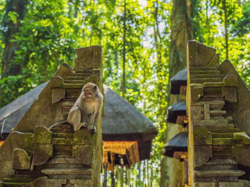 Bali: Ubud Adventure, ATV, Monkey Forest& Waterfall Tour - FAQs