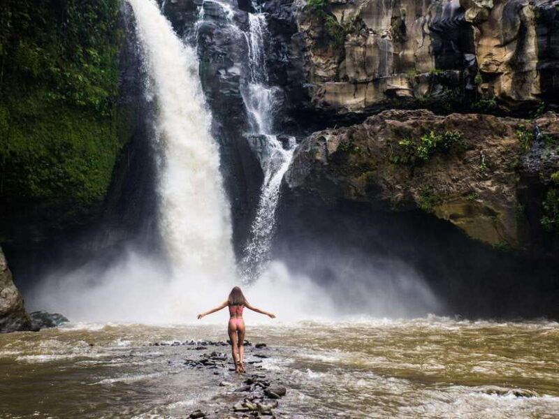 Bali: Ubud Adventure, Swing, Monkey Forest & Waterfall Tour. - Key Points