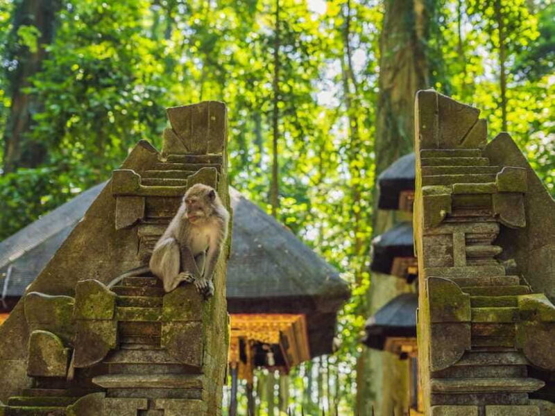 Bali: Ubud Adventure, Swing, Monkey Forest & Waterfall Tour. - The Sum Up