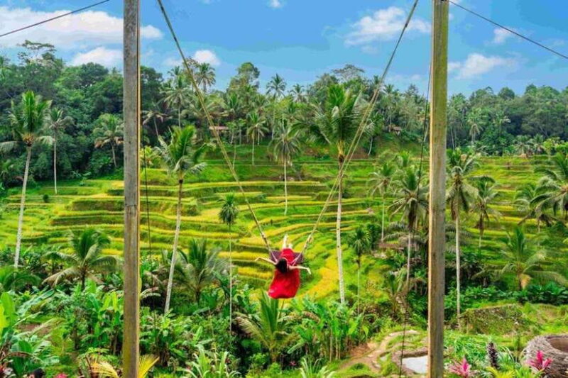Bali: Ubud Amazing Volcano Tour with Tirta Empul Temple - Key Points