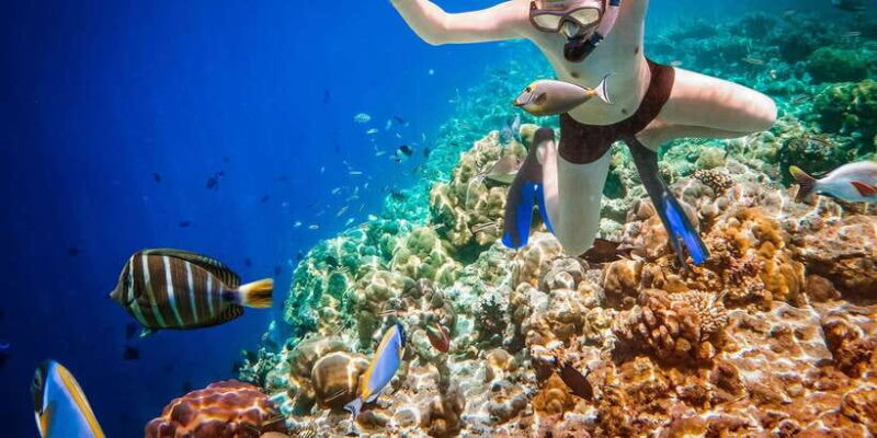 Bali: Ubud ATV and Blue Lagoon Snorkeling Tour with Lunch - Key Points