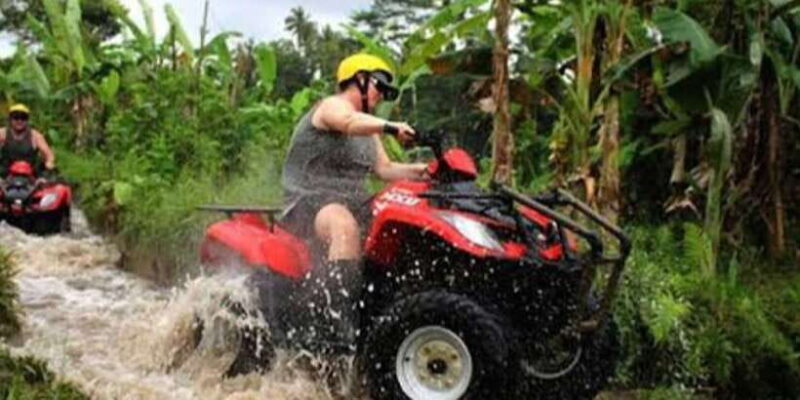 Bali: Ubud ATV and Blue Lagoon Snorkeling Tour with Lunch - What’s Included and What’s Not