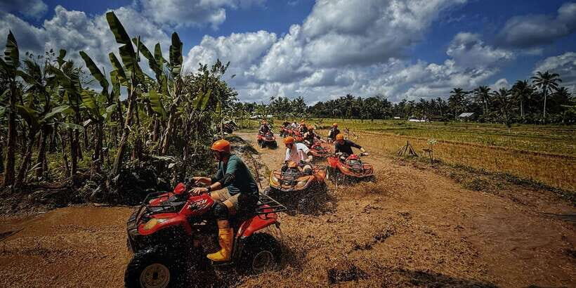 Bali: Ubud ATV Quad Bike, Jungle Swing & Rice Terrace Tour - Key Points