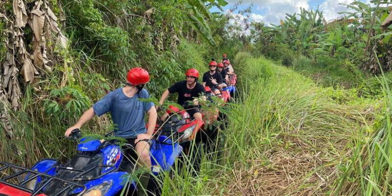 Bali: Ubud ATV Quad Bike, Jungle Swing with Meal - Key Points