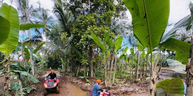 Bali: Ubud ATV Quad Bike, Jungle Swing with Meal - FAQ