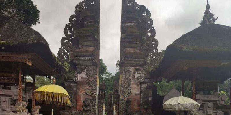 Bali: Ubud Culture Purification, Jungle Swing Tour - Key Points