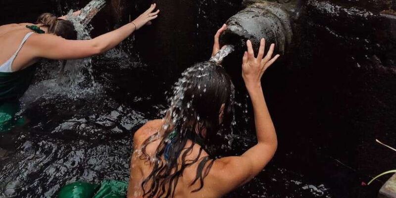 Bali: Ubud Culture Purification, Jungle Swing Tour - The Logistics and Practicalities