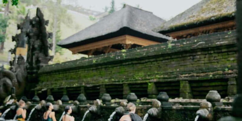 Bali: Ubud Culture Purification, Jungle Swing Tour - Who Is This Tour Perfect For?