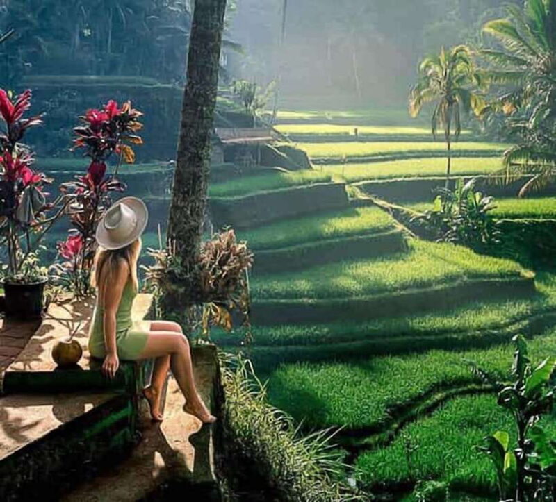 Bali: Ubud Day Tour with Swing and Zipline - Transportation and Group Size